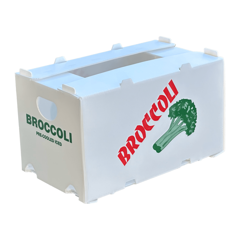 Broccoli Box | Prime Packaging